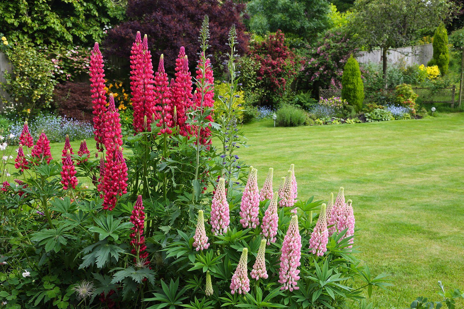 Garden Centre and Plant Nursery Blogs | Garden Centre Northampton